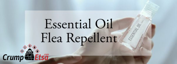 Essential Oil Flea Repellent for Humans – Aromatic Solutions for the Pest