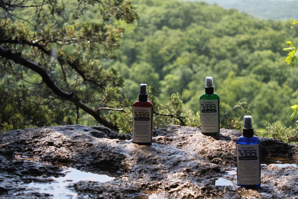 VBS Bug Spray Review – UPDATED 2020 – Vanilla Bug Spray
