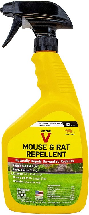 What Can I Spray To Keep Mice Away? Our Top 3 Picks!
